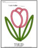 15 Colorful Tulip Crafts for Kids