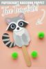 15 Cool Raccoon Crafts for Kids