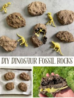 10 Fascinating Fossil Crafts for Kids