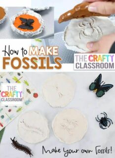 10 Fascinating Fossil Crafts for Kids