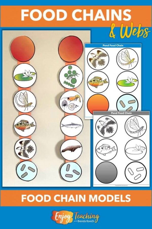 15 Wonderful Wildlife Theme Activities For Kids To Do At Home
